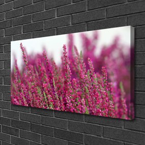 Obraz na plátně Květiny Louka Příroda 120x60 cm