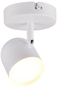 LED Nástěnné bodové svítidlo RAWI LED/4,2W/230V bílá