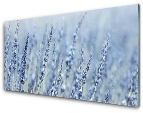 Obraz na skle Květiny Klasy Louka Příroda 100x50 cm