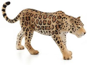 Mojo Leopard