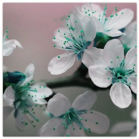 Obraz květu - tyrkysové (30x30 cm)