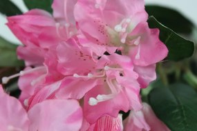Růžový umělý rododendron na stonku s listy 79cm