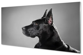 akrylový obraz Černý pes 140x70 cm