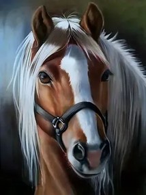 NORIMPEX Diamantové malování Portrét koně (1009222) / 30x40 cm
