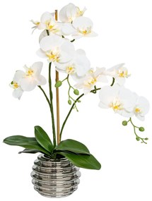 Gasper Umělá květina Orchidej s 9 LED, 60 cm, krémová