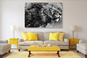 Obraz král zvířat v černobílém akvarely - 120x80 cm