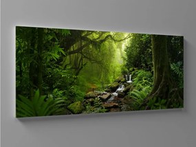 Liox XXL Obraz deštný prales Rozměr: 200 x 100 cm