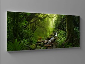 Liox XXL Obraz deštný prales Rozměr: 250 x 125 cm
