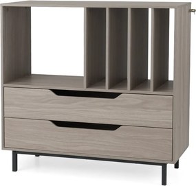 Costway Stojan na gramofon s 4 vinylovými přihrádkami a 2 zásuvkami