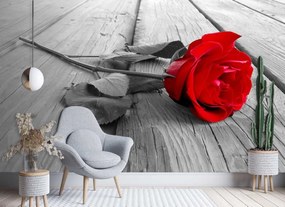 Fototapeta, Červené květy růží Retro - 450x315 cm