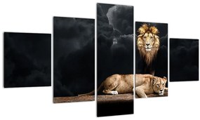 Obraz - Lev a lvice v oblacích (125x70 cm)