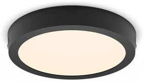 Philips - LED svítidlo, průměr 21 cm, 2700 K, 12 W, černá 929002661131