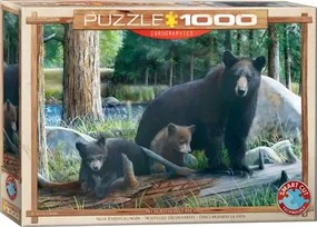 EUROGRAPHICS Puzzle Nové objevy / 1000 dílků / 68 × 48 cm