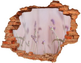 Wallmuralia Samolepící díra na stěnu nálepka Levandule 90x70 cm
