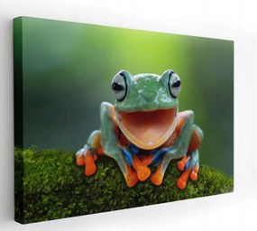 YESTU Obraz na plátně 120x80cm,3D efekt,žába,zelená