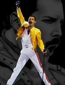 NORIMPEX Diamantové malování Freddie Mercury Historická póza / 30x40 c