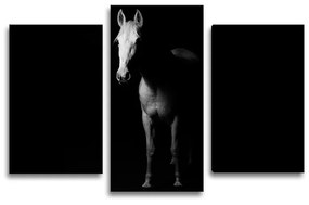 Sablio Obraz - 3-dílný Kůň ve stínu - 75x50 cm