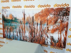 Obraz řeka uprostřed podzimní přírody - 120x60 cm