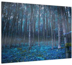 Skleněný obraz - Magický les (70x50 cm)