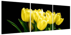 Obraz žlutých tulipánů (120x40 cm)