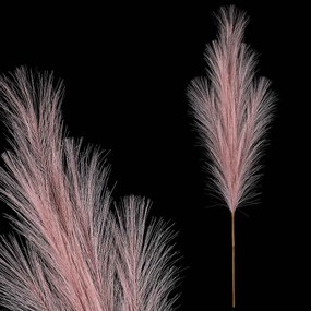 Pampas tráva, světle fialová barva KUM3434 PU-LT