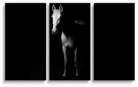 Sablio Obraz - 3-dílný Kůň ve stínu - 120x80 cm