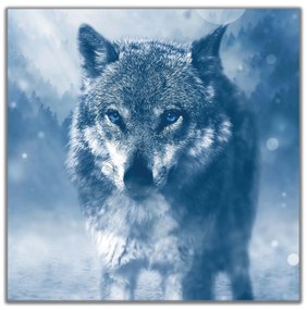 Malvis ® Obraz vlk v zimě Velikost (šířka x výška): čtverec - 30x30 cm