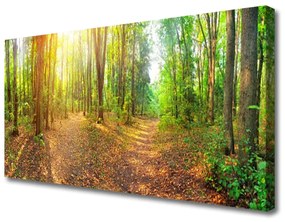Obraz na plátně Slunce Příroda Lesní Stezka 120x60 cm