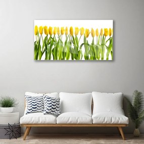 Plexisklo-obraz Tulipány Květiny Příroda 100x50 cm