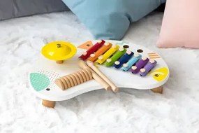ECOTOYS Sada hudebních nástrojů / Xylofon, řehtačka, činel, paličky /