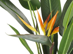 Umělá rostilina v květináči 115 cm STRELITZIA TREE Beliani