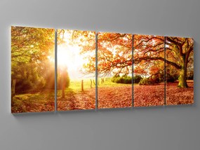 Liox Obraz podzimní krajina Rozměr: 100 x 40 cm
