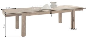 Massive home | Dřevěný rozkládací jídelní stůl  200/300x100 Monrovia z palisandru MH65260
