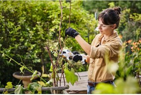 STIHL AKU nůžky ASA 20