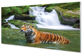 Obraz na skle tygr vodopád 100x50 cm