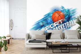 Fototapeta Basketbal V Moderním Stylu Omyvatelný vlies 315x210
