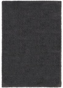 Flair Rugs, Kusový koberec Shaggy Teddy Charcoal, 120x170, šedá, ložnice