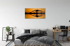 Obraz na skle Sunset tree 140x70 cm
