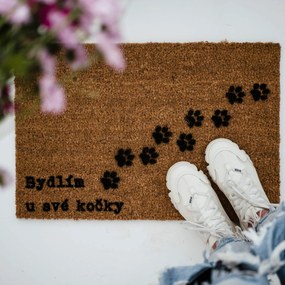 Bella Rose Rohožka Bydlím u své kočky, přírodní barva