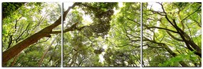Obraz na plátně - Zelené stromy v lese - panoráma 5194C (90x30 cm)