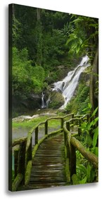 Wallmuralia Vertikální Foto obraz na plátně Stezka v džungli 50x100
