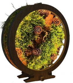 Li-Go "Mechové zátiší" lampa 20x22 cm