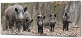 Skleněný obraz do obývacího pokoje 137x55 s potiskem zvířat