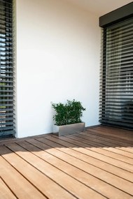 Truhlík BALKONIX, šířka 60 cm, broušený nerez