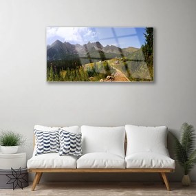 Plexisklo-obraz Hala Góry Droga Natura Łąka 100x50 cm