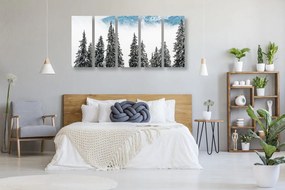 5-dílný obraz zasněžené borové stromy Varianta: 100x50