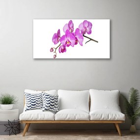 Obraz na plátně Vstavač Orchidej Květiny 140x70 cm