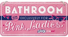 Postershop Závěsná cedule: Pink Ladies Bathroom - 20x10 cm