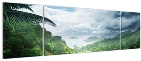 Obraz - Seychelská jungle (170x50 cm)