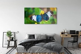 akrylový obraz Barevný motýl na květiny 140x70 cm